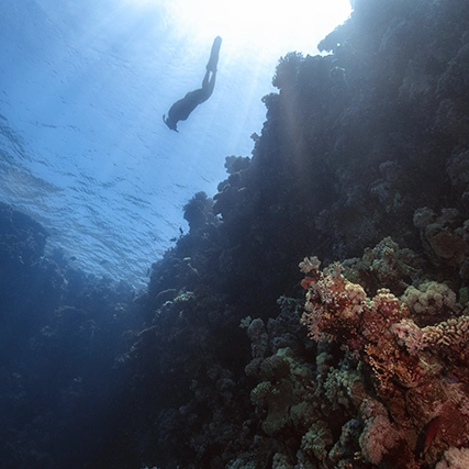 Saudi Vision 2030 - Red Sea Global